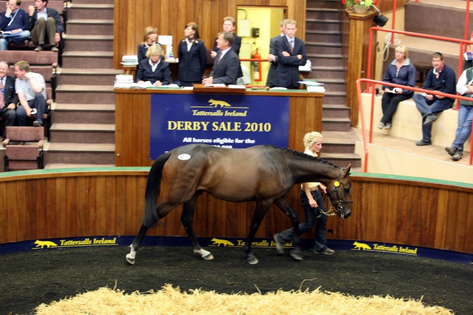 Tattersalls Ireland History - Ireland