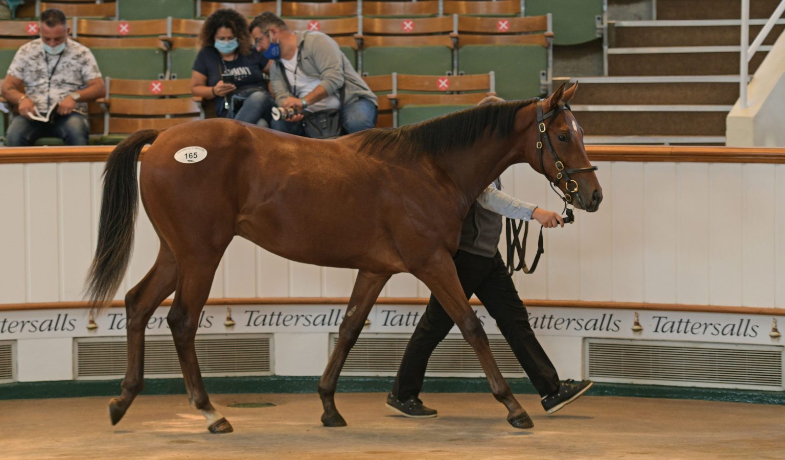 Tattersalls Ireland History - Ireland
