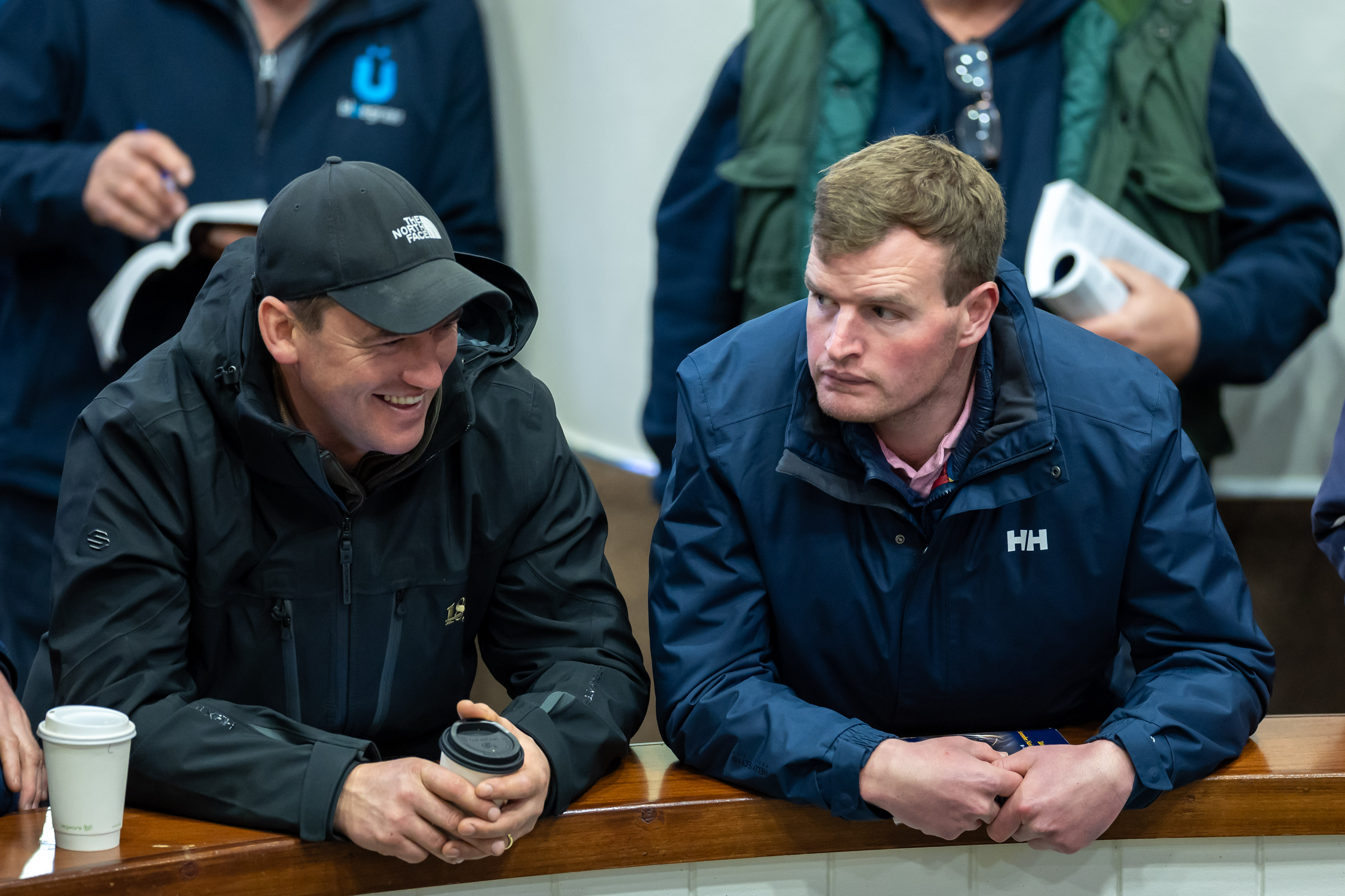 November National Hunt Sale 2025 - Ireland