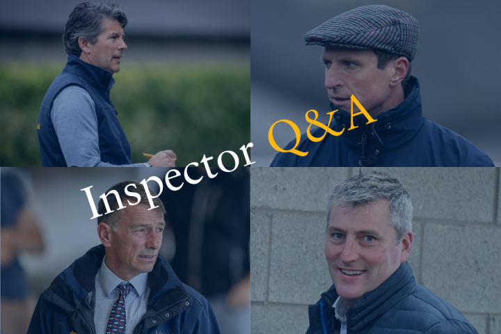 Derby Sale Inspector Q&A - Ireland